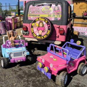 Junkyard | Car Junkyard | Vehicle Removal Service